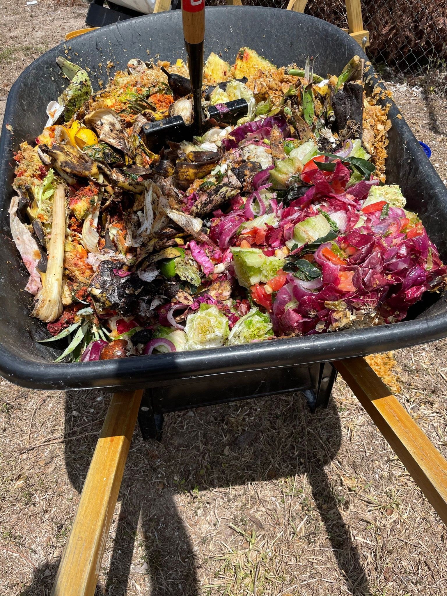 Locals explore composting to divert harmful food waste from the ...